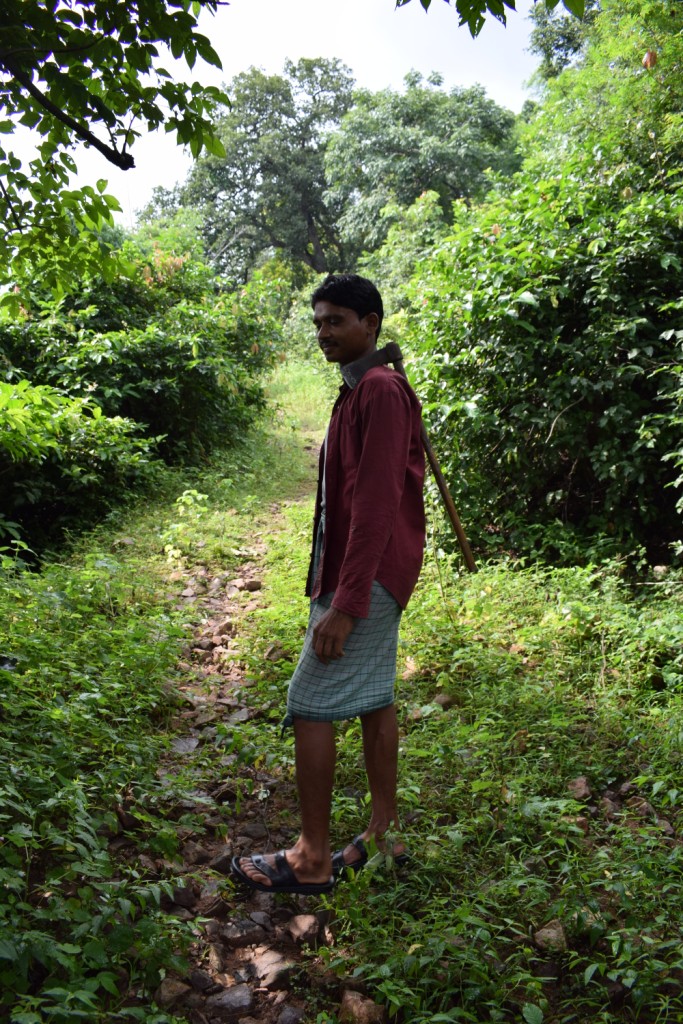 Exploring the Cultural Heritage of Chhattisgarh Beyond Bastar – Queen of Treasures