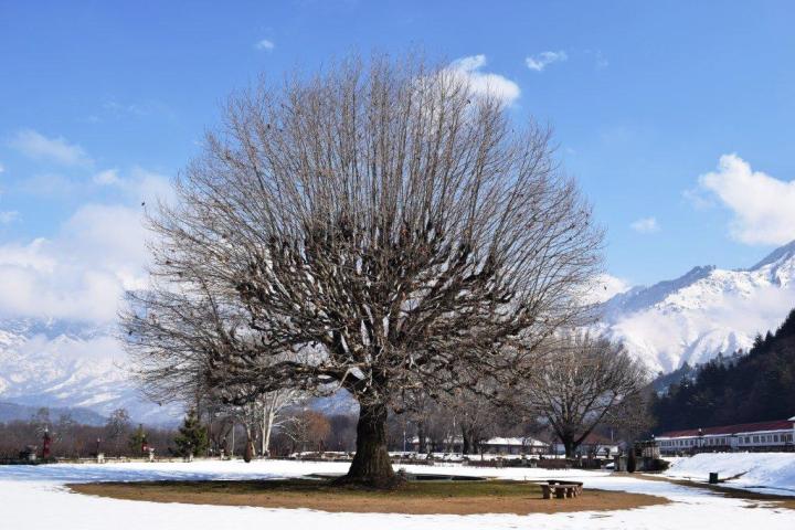 10 Destinations To See Snow in India – Queen of Treasures