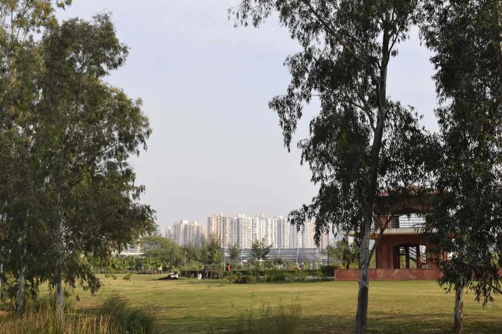 Delhi’s Green cover: Mapping the Green Lungs – Queen of Treasures