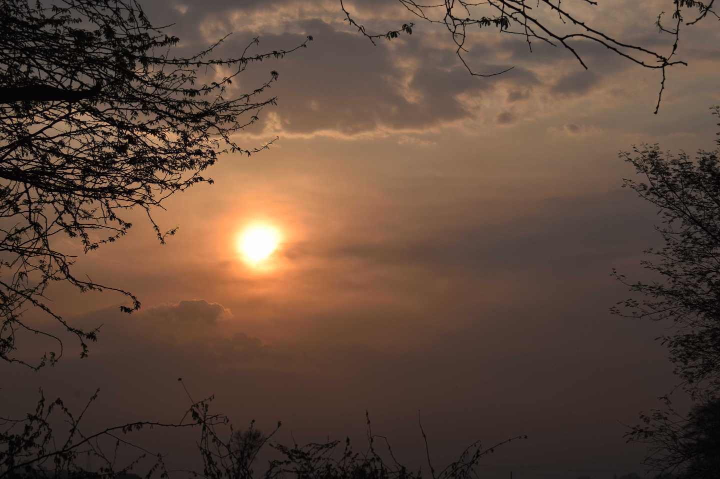 Xanthic Tones in Pictures – Queen of Treasures