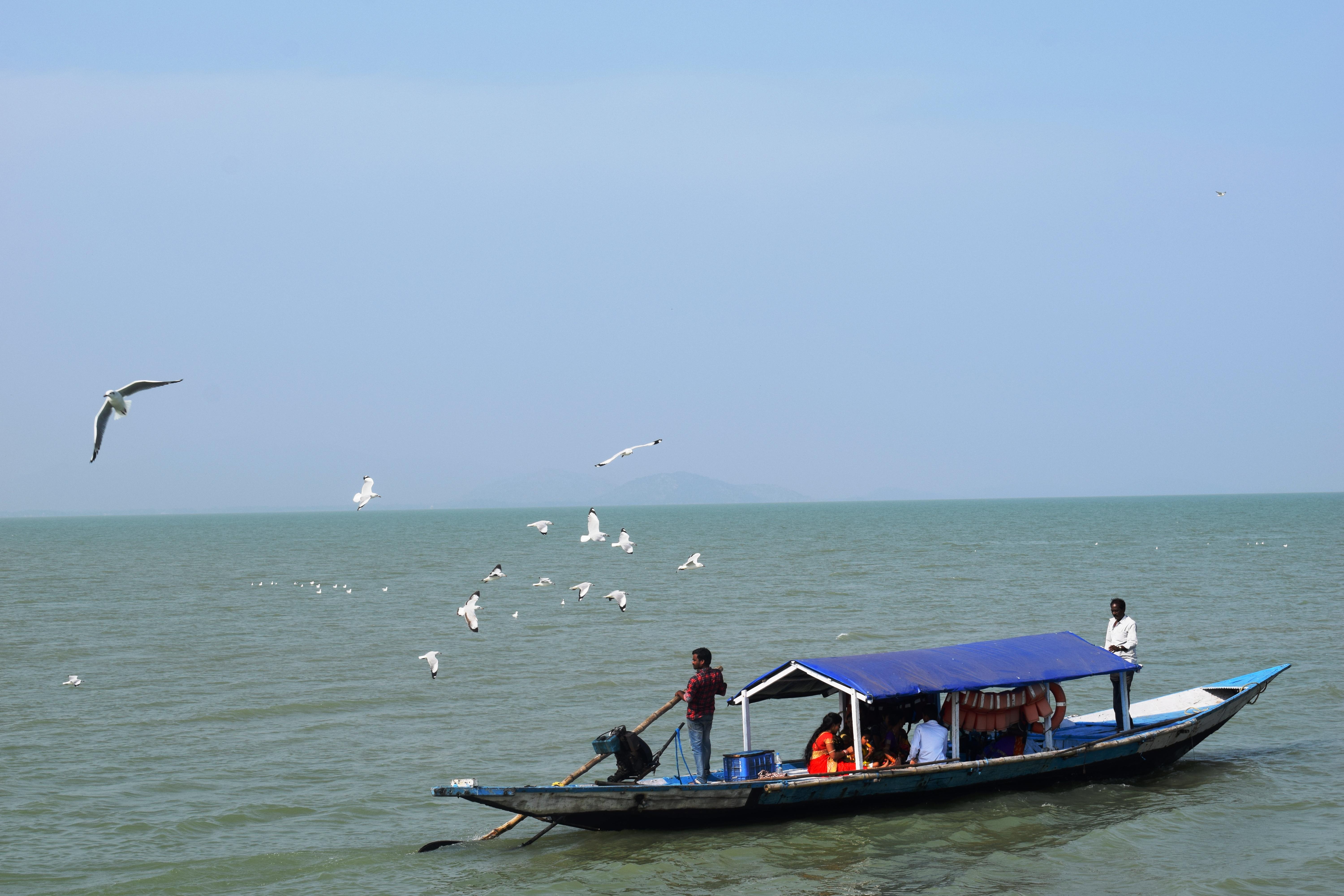 A Deep Dive into Chilika Lake’s Unique Ecosystem and Conservation ...