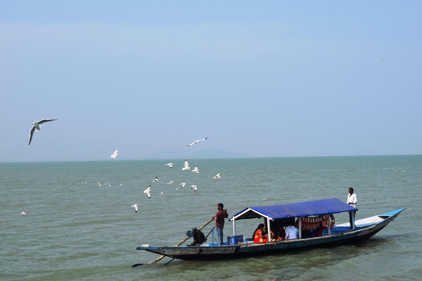 A Deep Dive into Chilika Lake’s Unique Ecosystem and Conservation ...