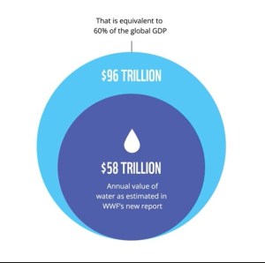 Water Conservation is Crucial for Our Planet – Queen of Treasures