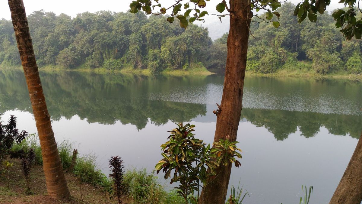 Thattekkad Bird Sanctuary: Birding, Kayaking & Rubber Plantation Walk ...