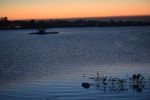 Nashik: Birdwatching, Stargazing & Photography at Gangapur Dam – Queen ...